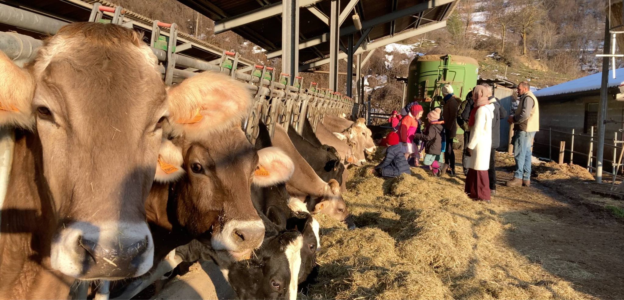 Sustainability Week with Dr Salvatore Ruggiero – CISS